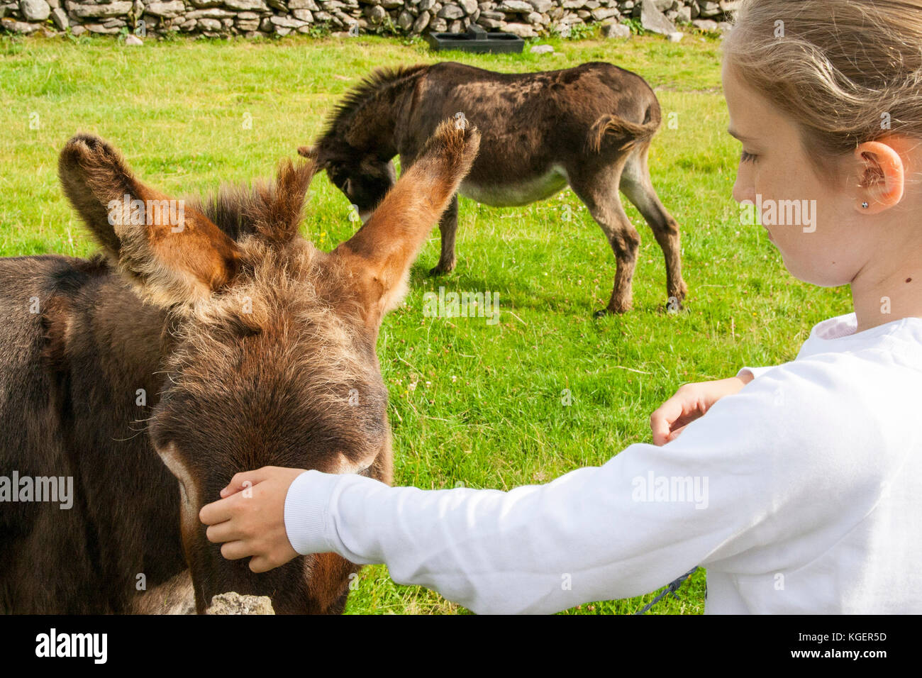 Two children with a donkey hi-res stock photography and images - Alamy