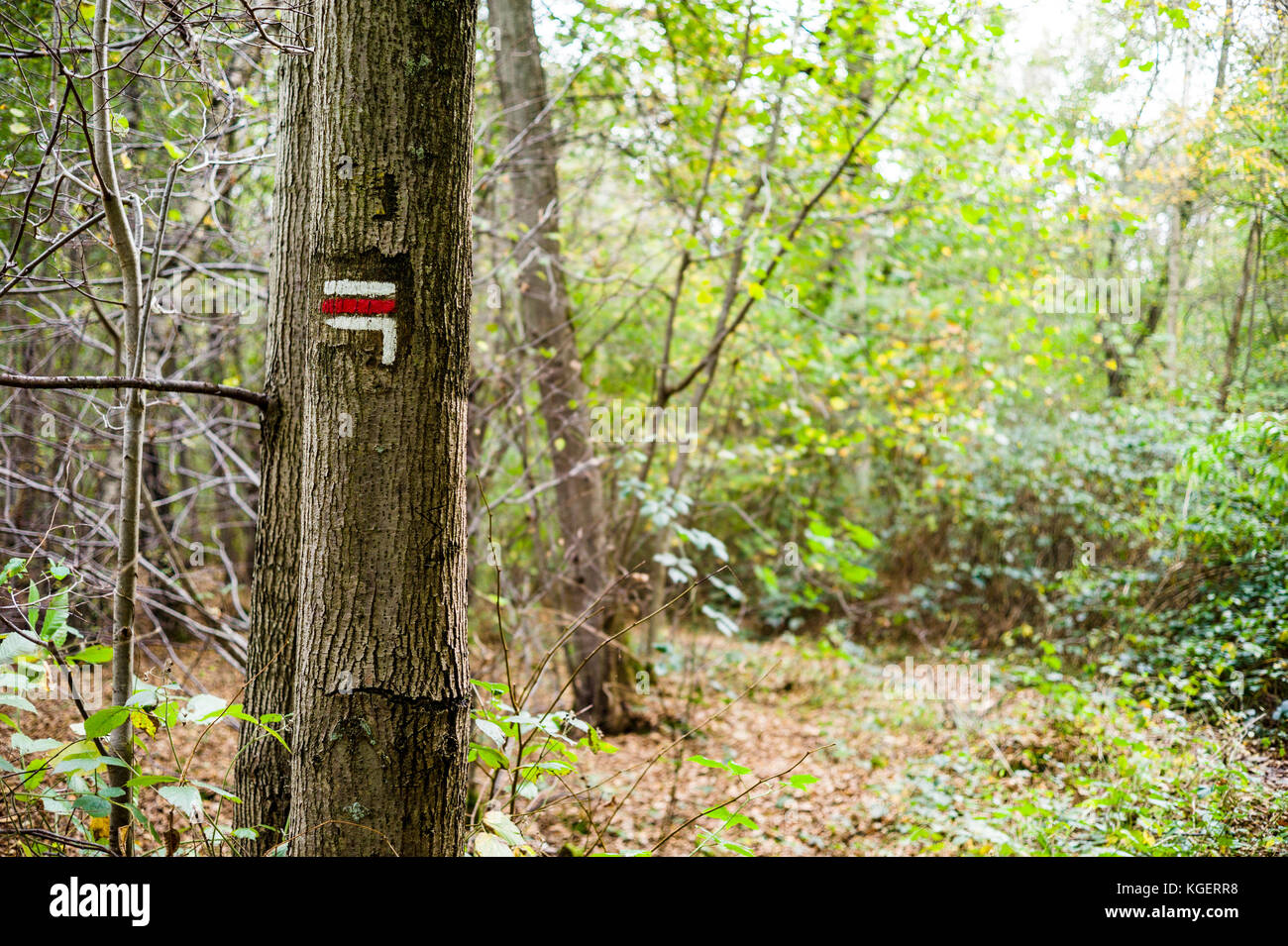 Red white path marking on a tree hi-res stock photography and images ...