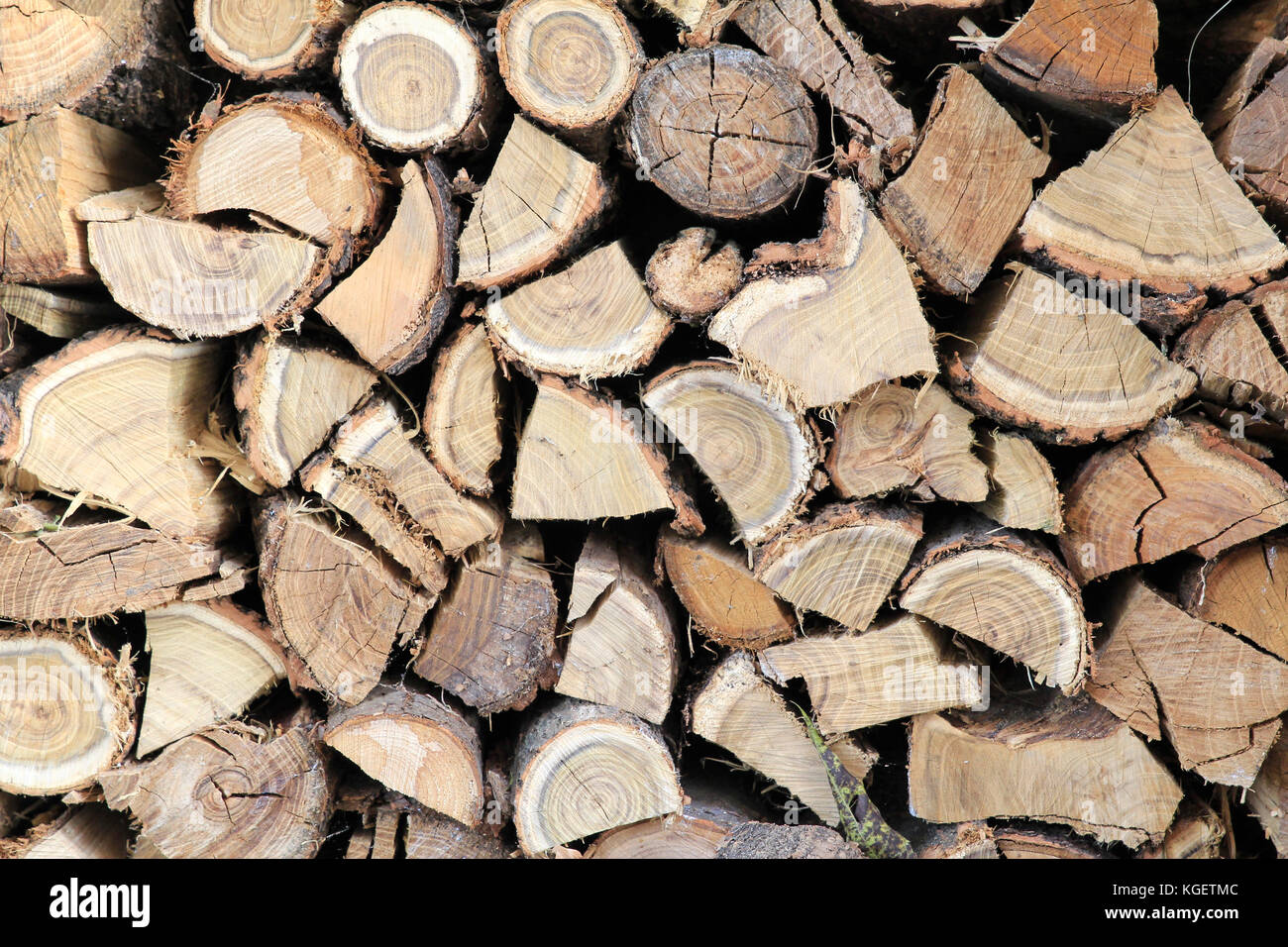 Tronco legno hi-res stock photography and images - Alamy