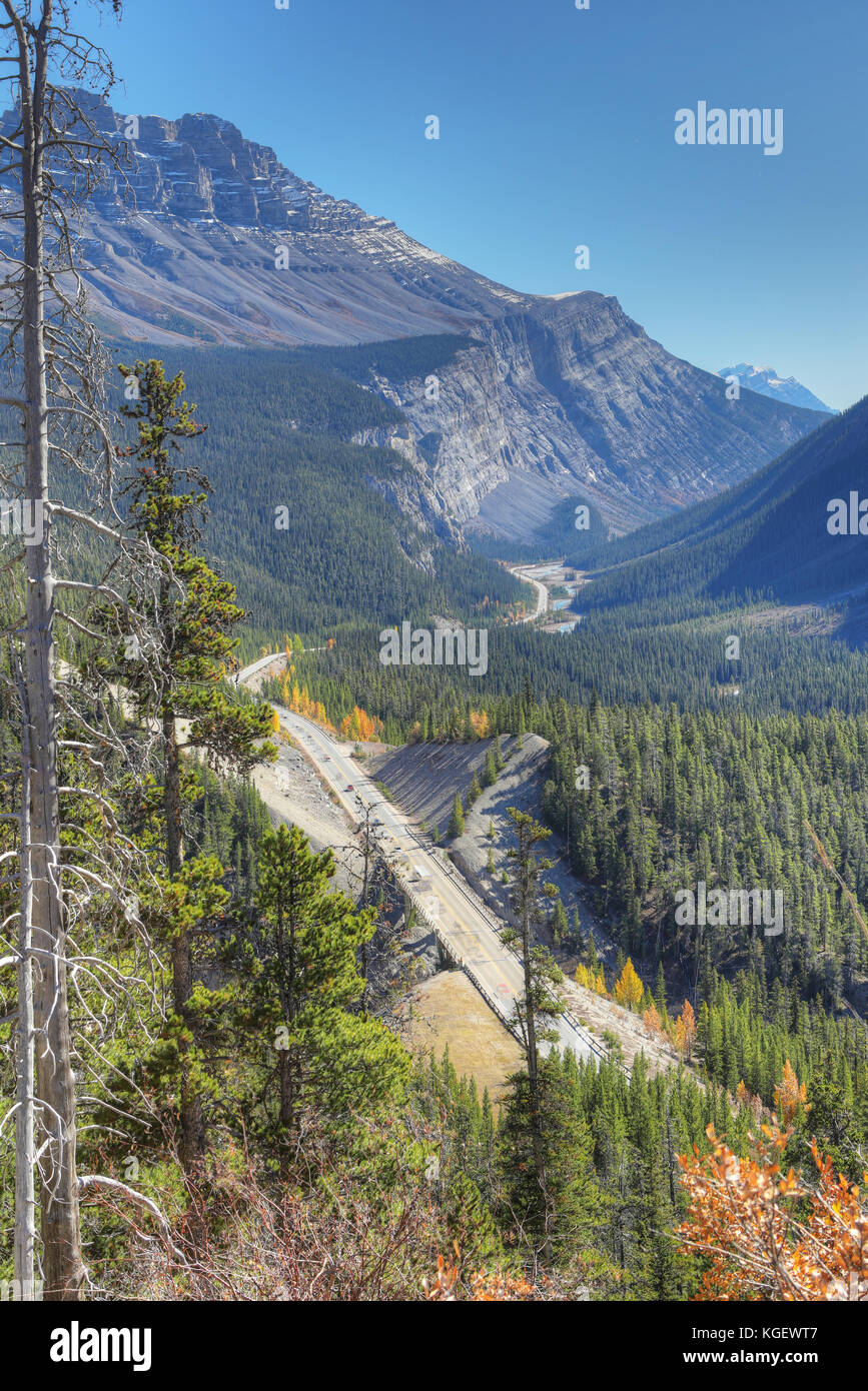 A Vertical of Icefields Highway through Rocky Mountains Stock Photo - Alamy