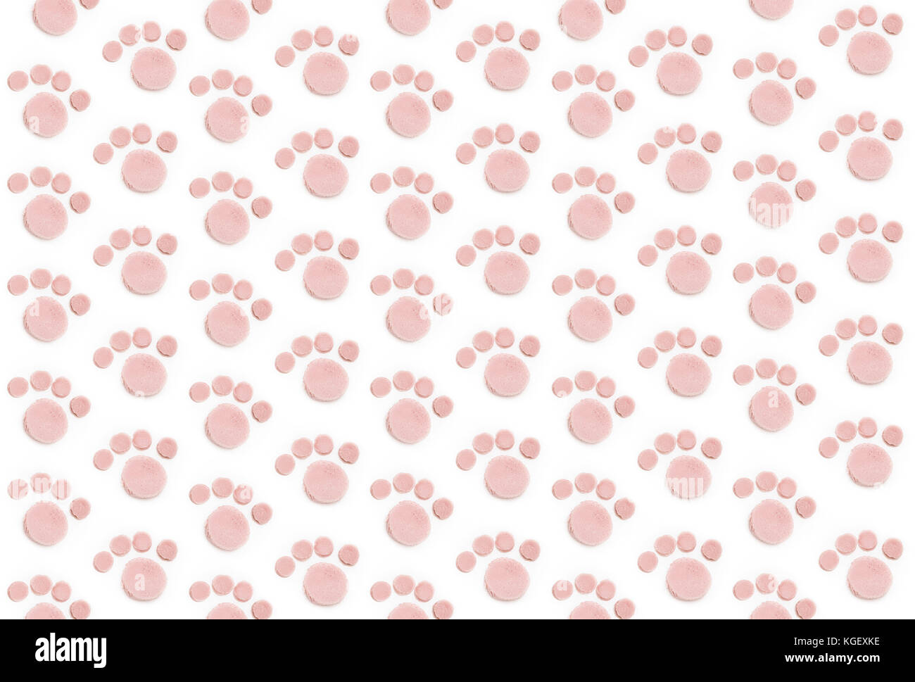 A lot of dog tracks on a white background Stock Photo - Alamy