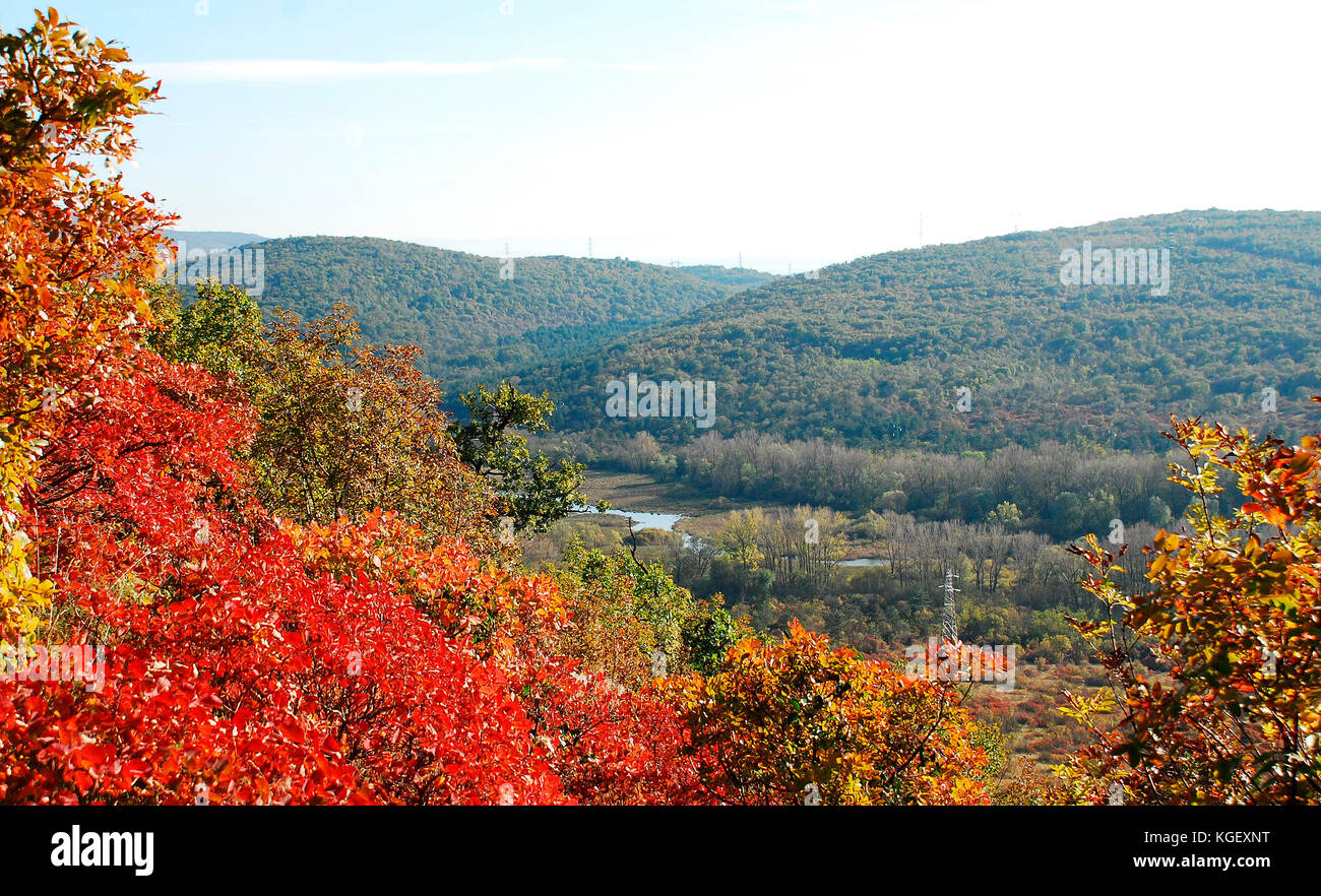 Autumn colours on display in the Carso (Karst) area of Friuli, north ...