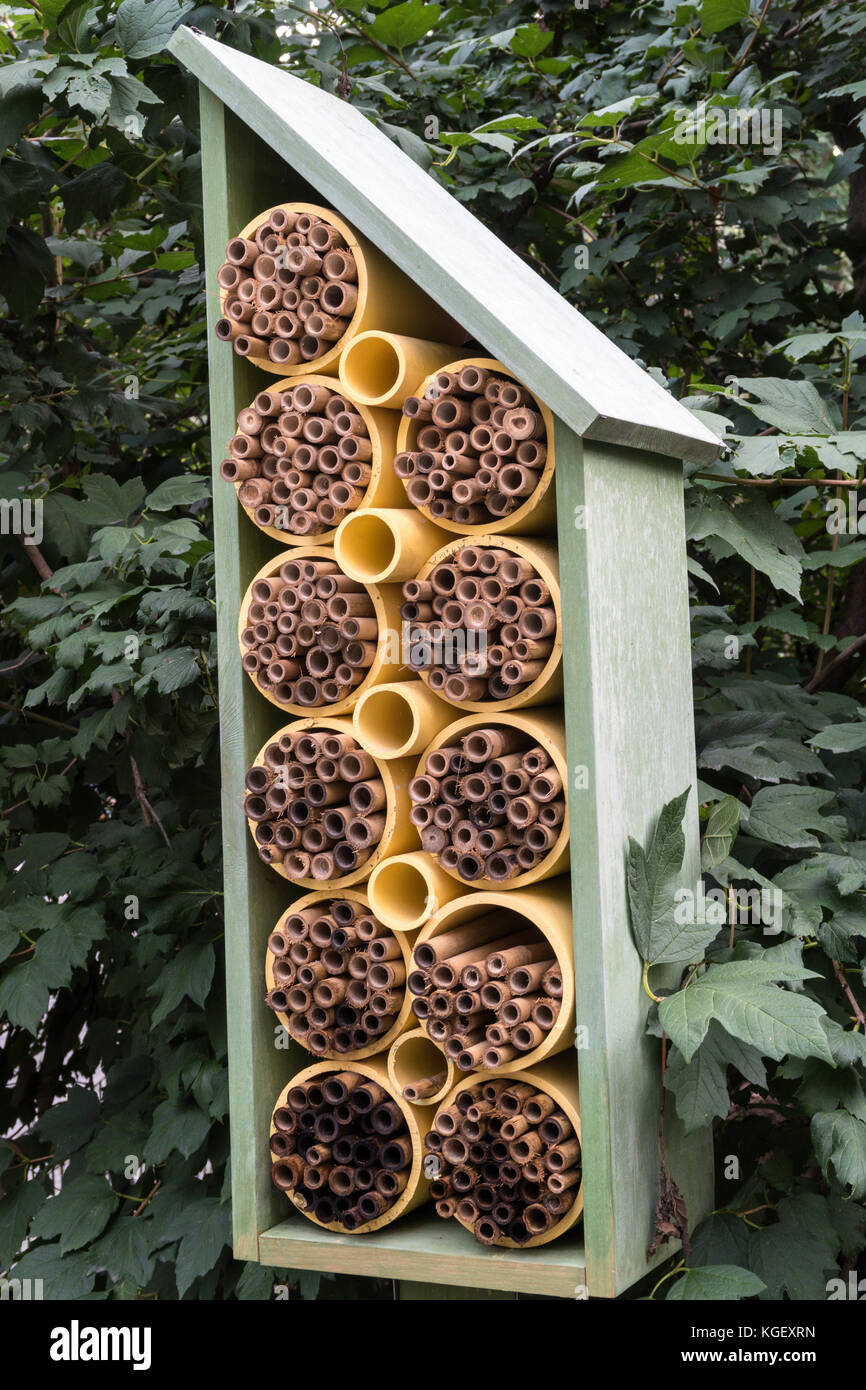 Bee Houses in Madison Square Park, NYC, USA Stock Photo - Alamy