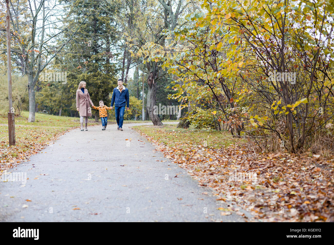autumn forest walk with the son family Stock Photo - Alamy