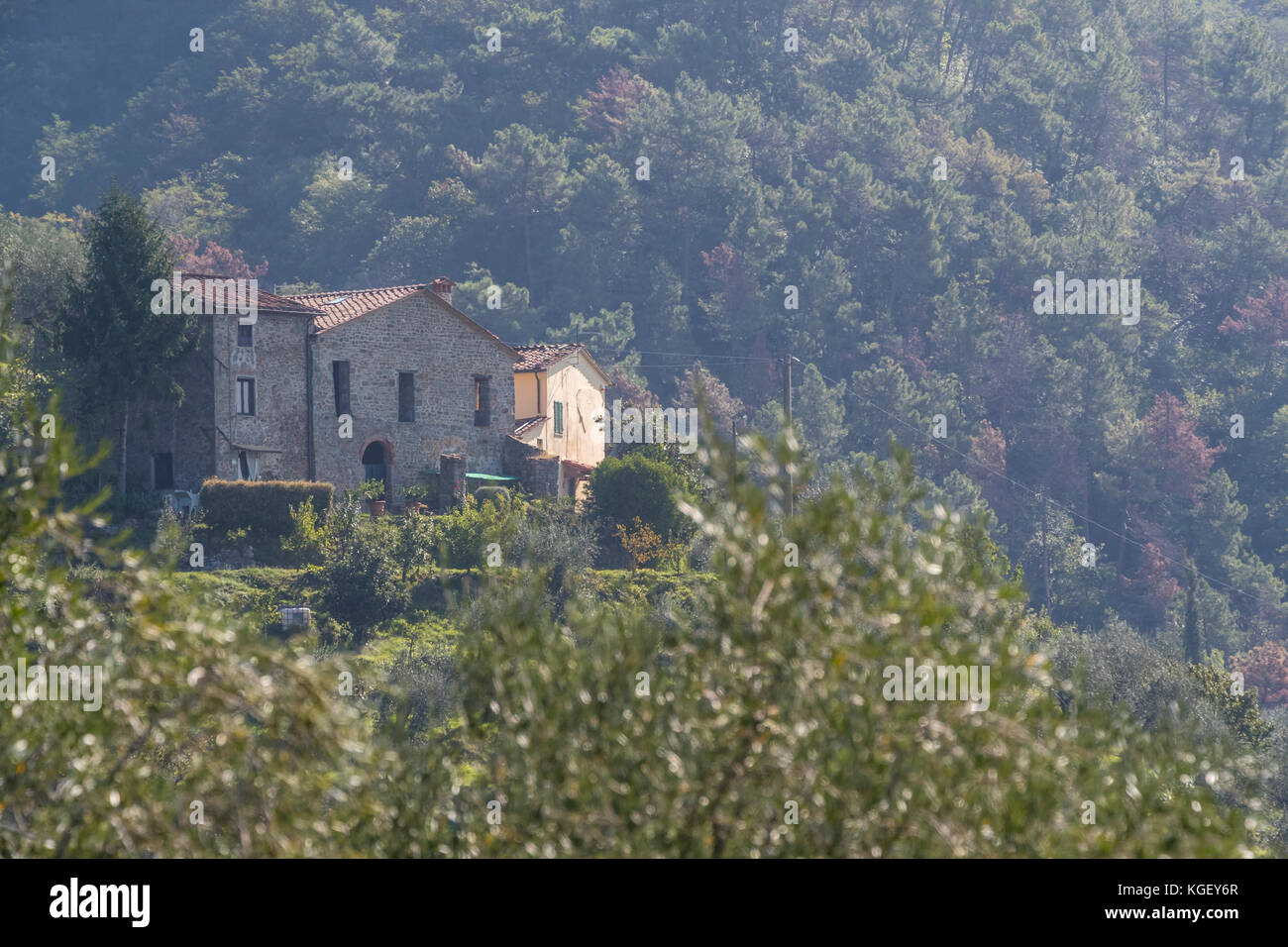 Tuscan rooftops and pan tiles, Bagni di Lucca, Italy Stock Photo - Alamy