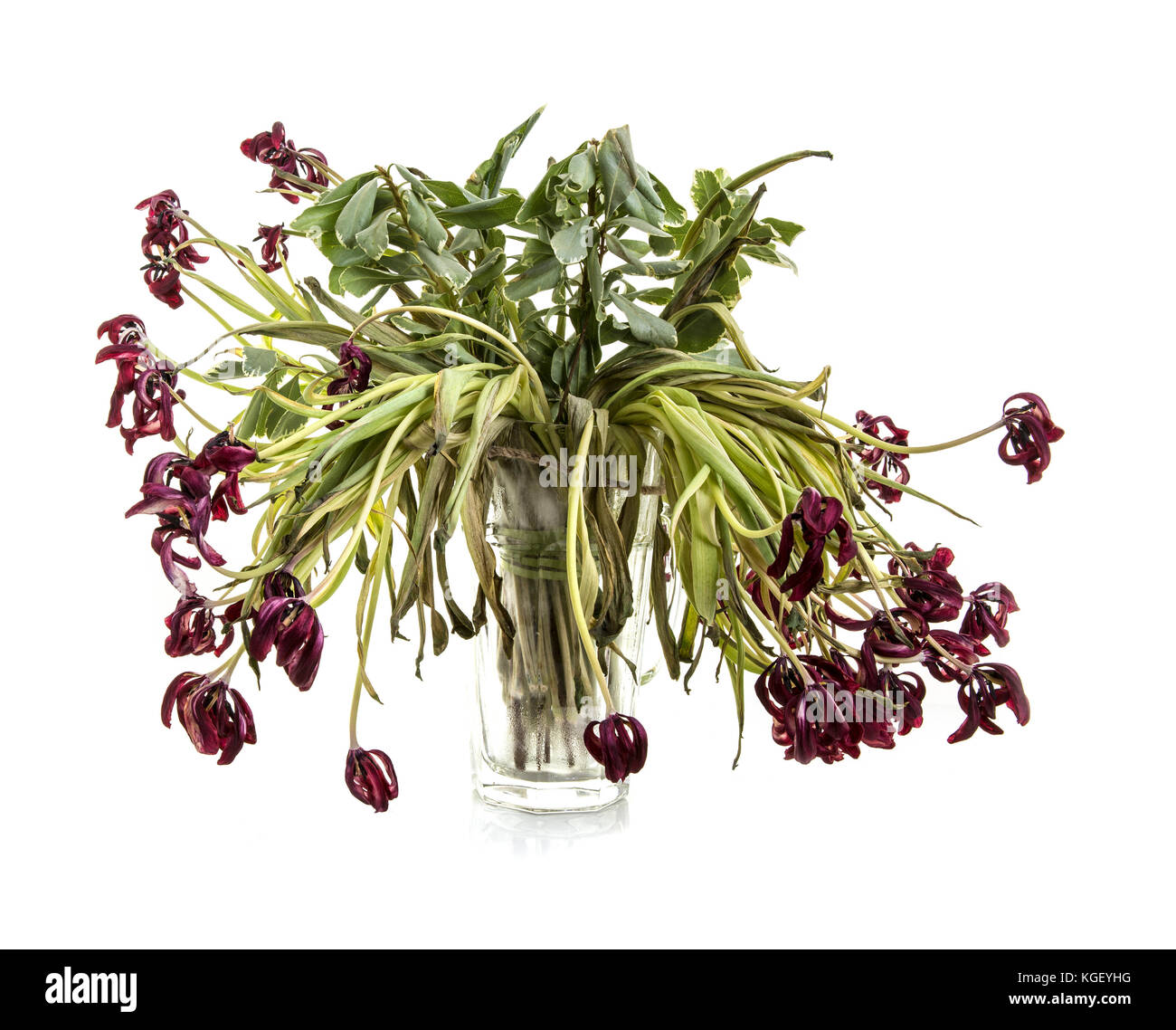 Dead flowers vase hi-res stock photography and images - Alamy
