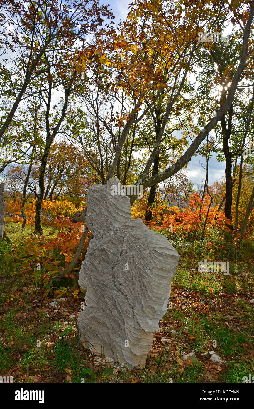 Autumn colours on display in the Carso karst limestone area of Friuli ...
