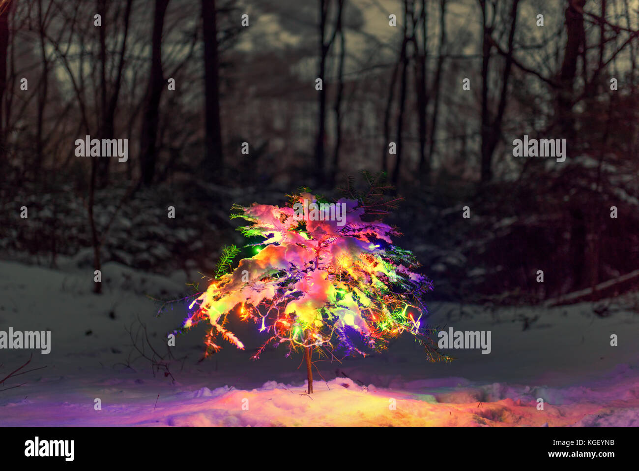 Christmas little tree hi-res stock photography and images - Alamy