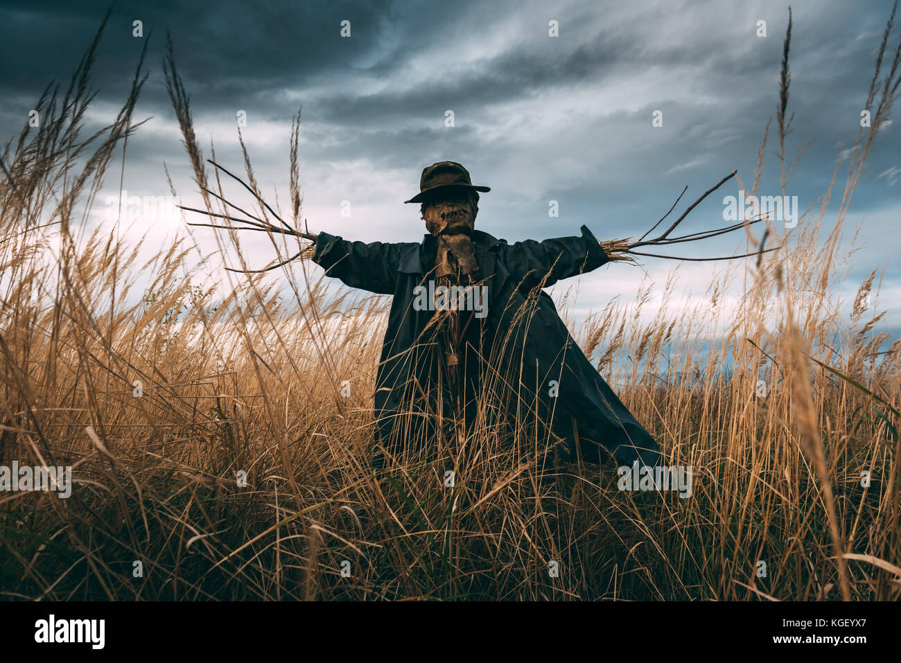 Scary scarecrow in a hat Stock Photo - Alamy