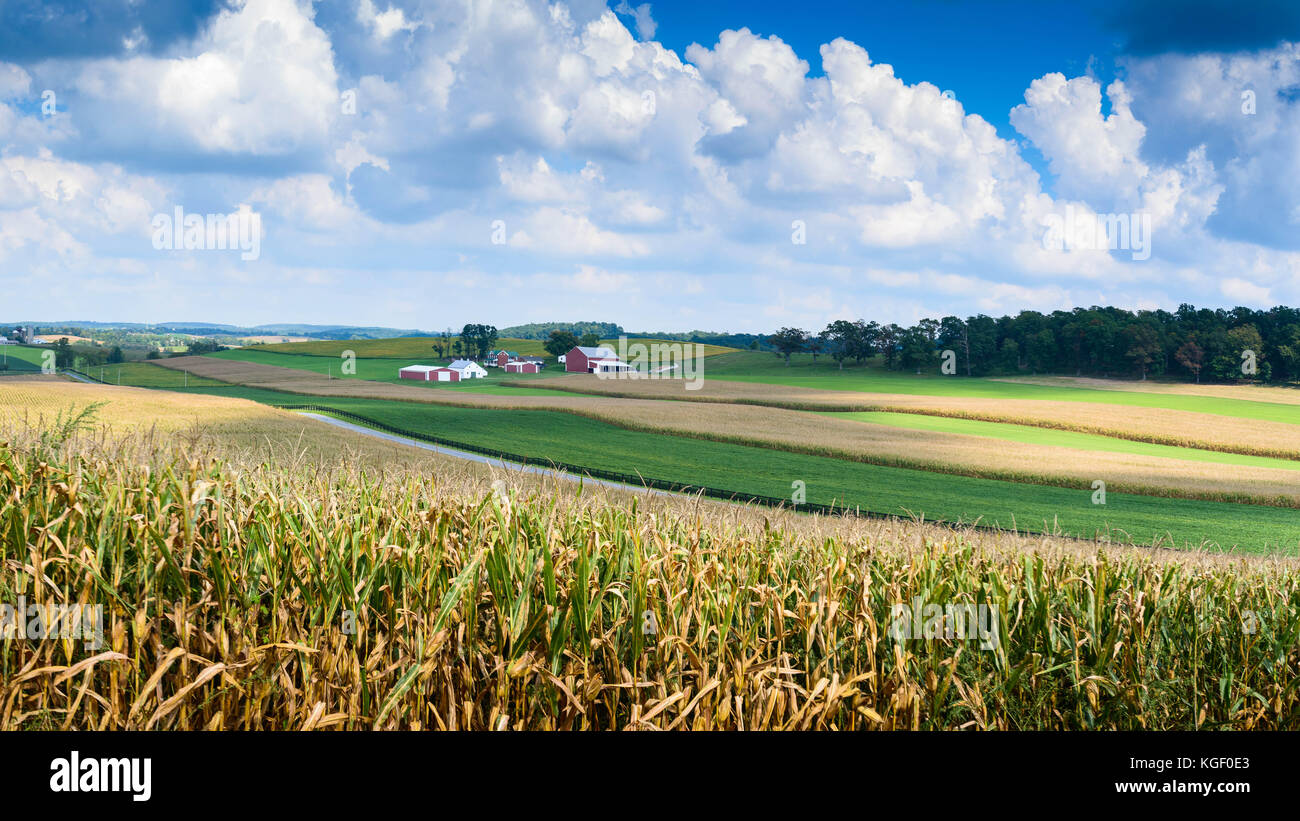 Gentle rolling hills of Maryland farm country in the agricultural ...