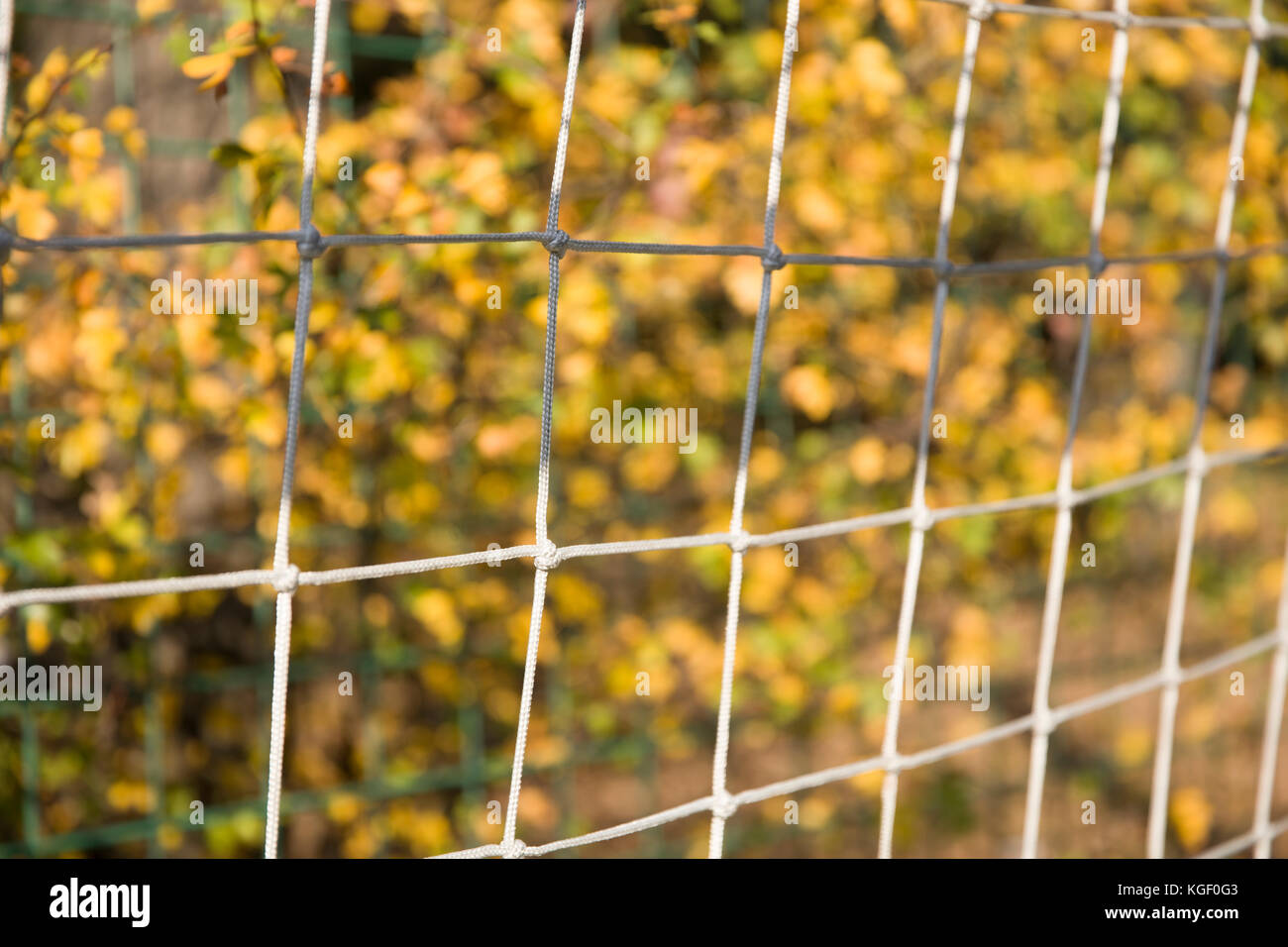 Closeup detail of the football net in the field Stock Photo - Alamy