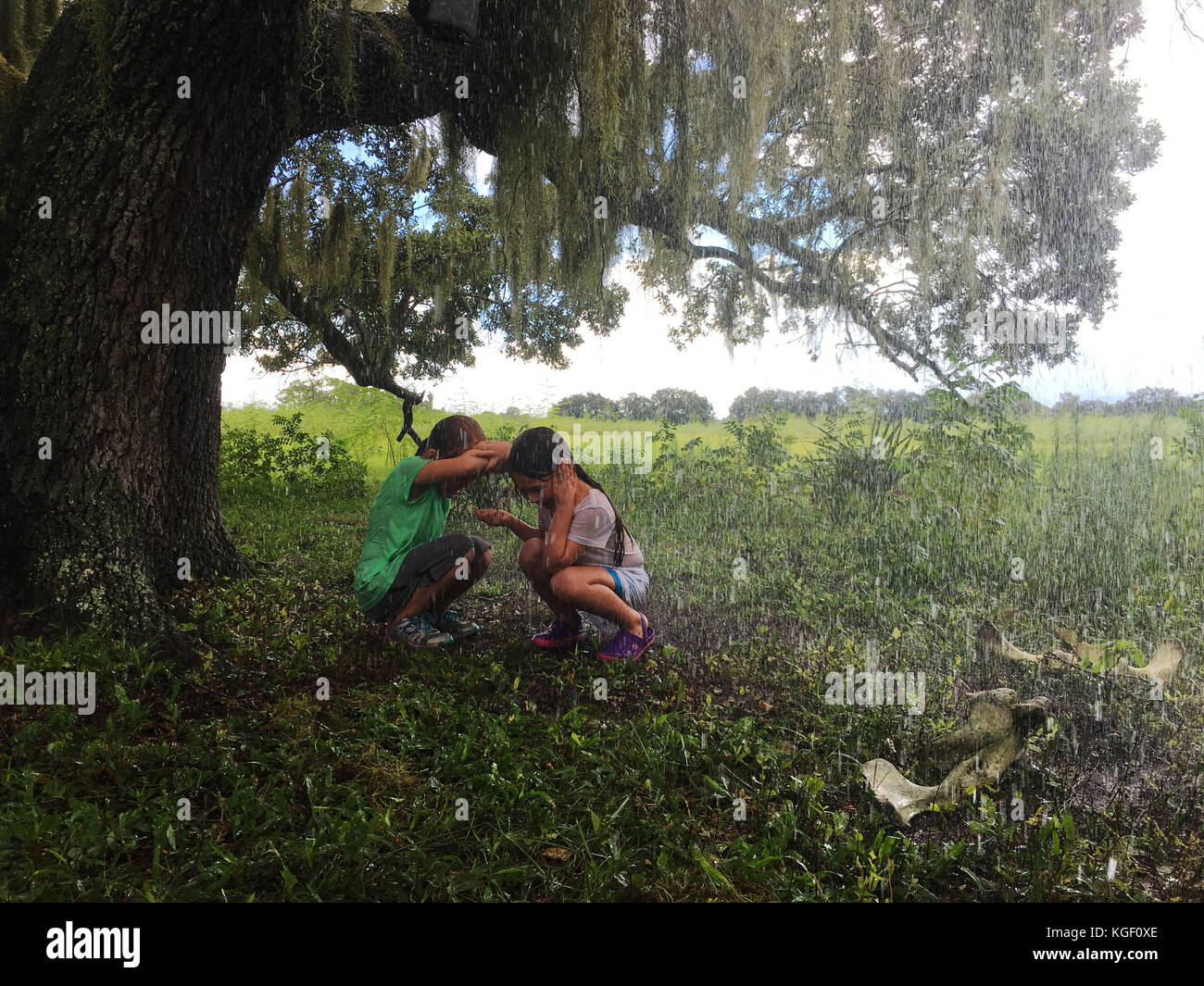 THE FLORIDA PROJECT, l-r: Brooklynn Prince, Valeria Cotto, 2017. ph ...