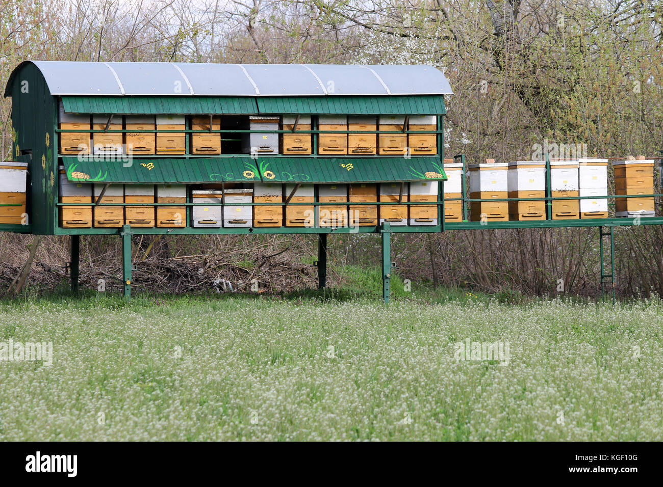 Bee hive on meadow agriculture Stock Photo - Alamy