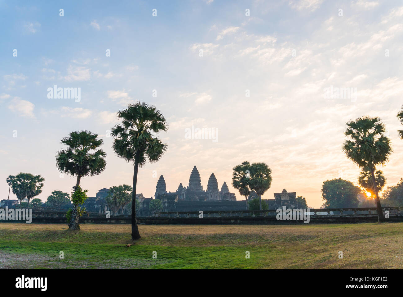 Angkor wat palm hi-res stock photography and images - Alamy