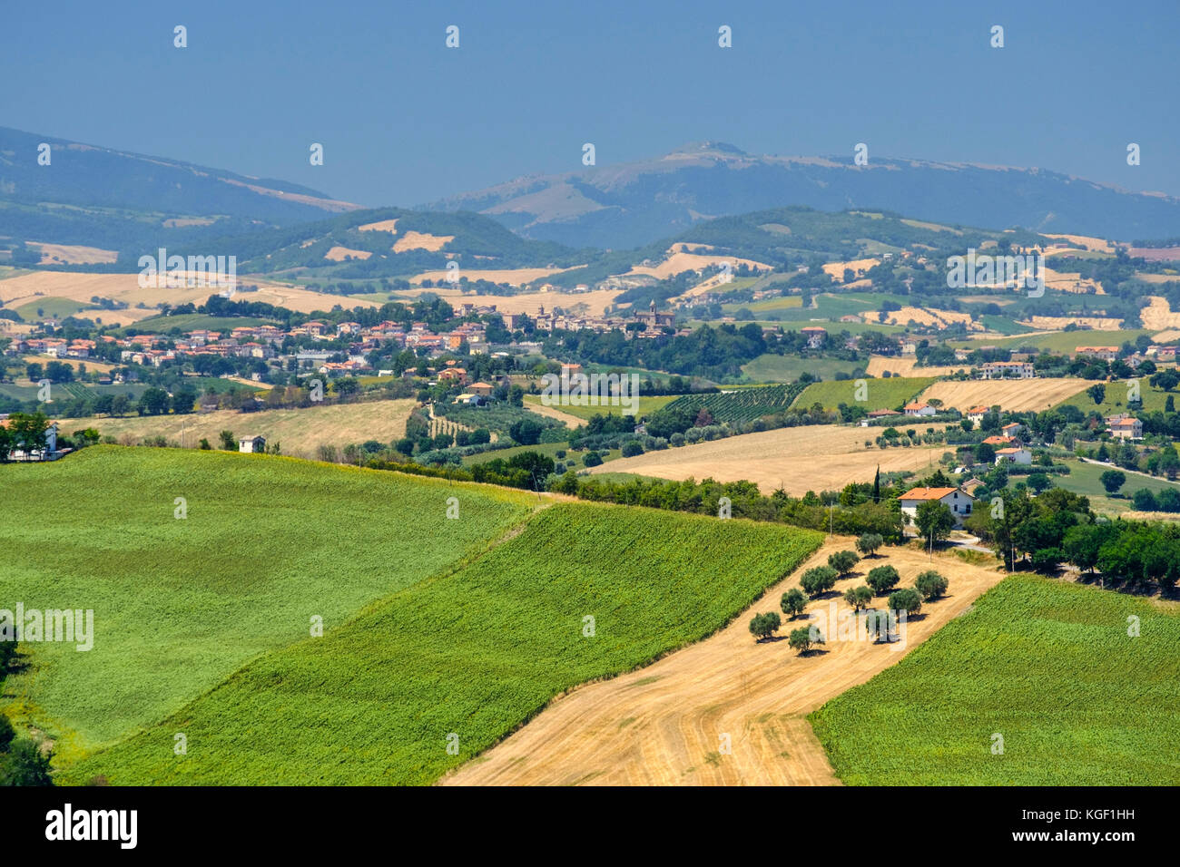 Rural landscape along the road from Ostra to Jesi (Ancona, Marches ...