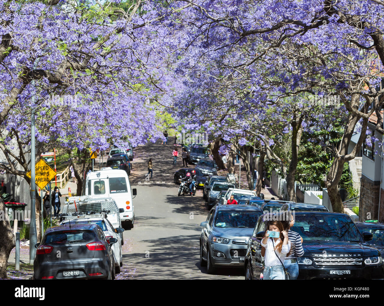 Sydney, Australia. 7th Nov, 2017. Tourists and locals descend on Mc ...