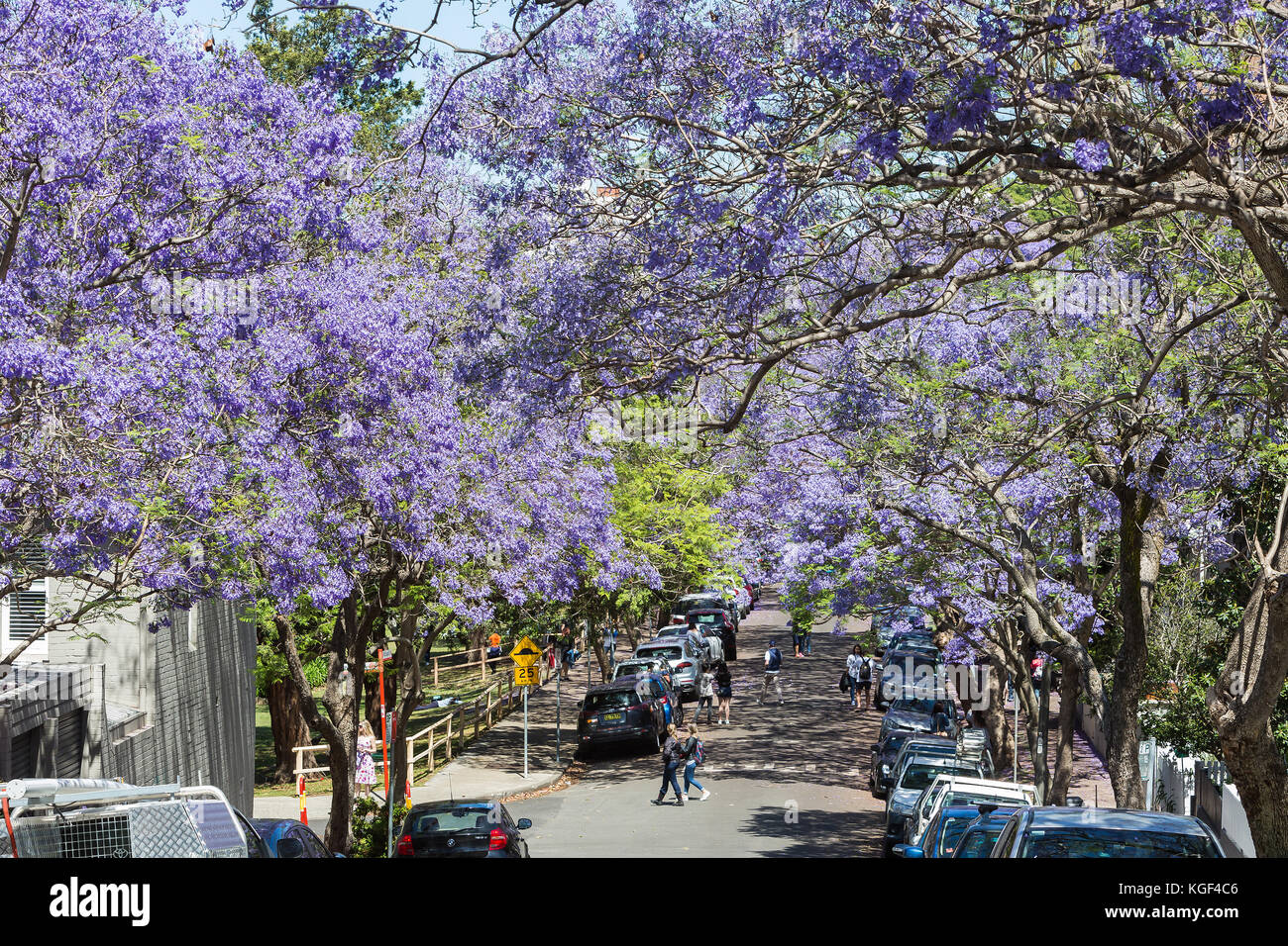 Sydney, Australia. 7th Nov, 2017. Tourists and locals descend on Mc ...