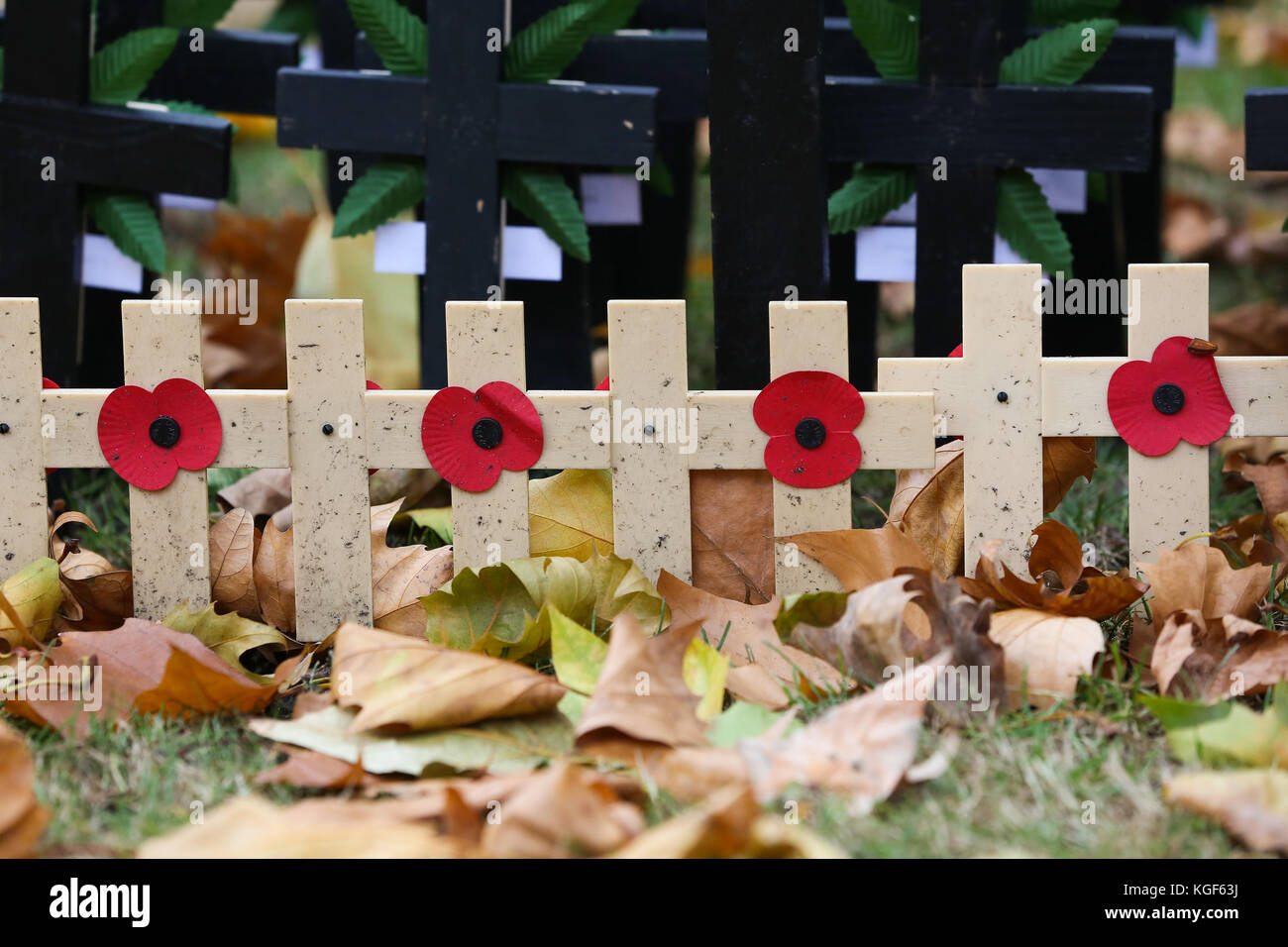 Westminster. London, UK. 7th Nov, 2017. Crosses of Remembrance, bearing ...
