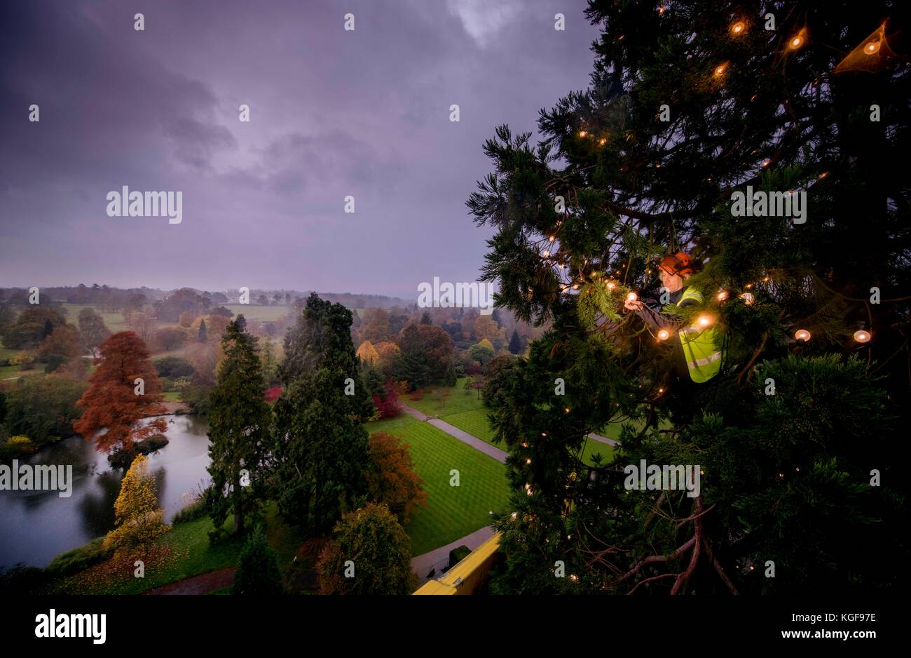 Wakehurst place christmas tree hi-res stock photography and images - Alamy