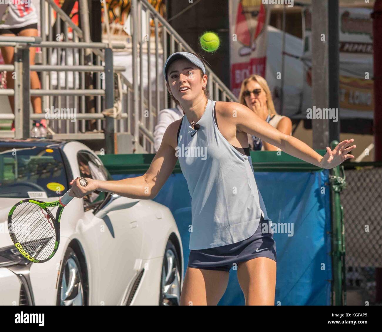 Cici bellis hi-res stock photography and images - Alamy