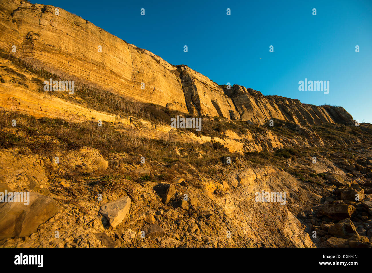Hastings Sea Cliffs - Rockfalls and Peregrine Falcons. A wonderful but ...