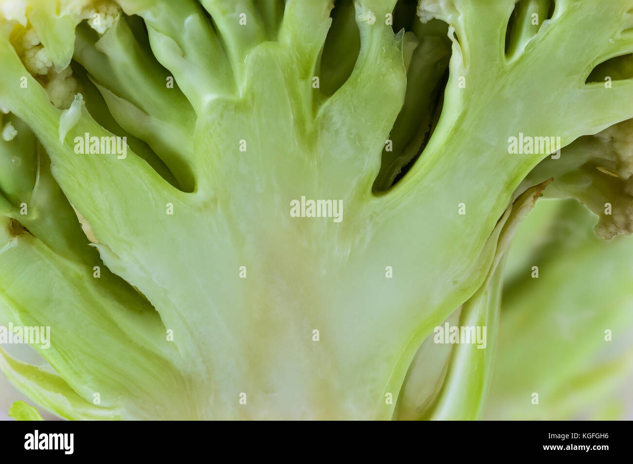 Cauliflower Cross Section High Resolution Stock Photography and Images ...