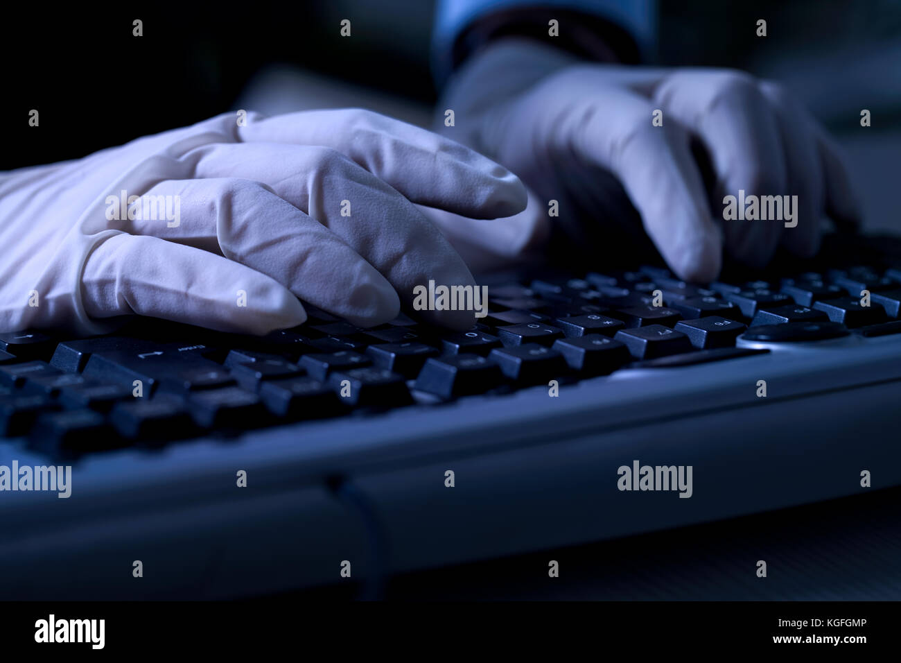 Computer hacker with protective gloves steal data from computer Stock ...