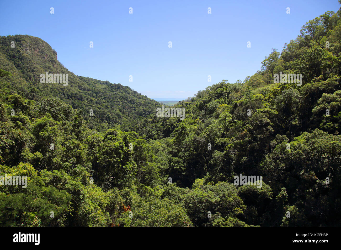kuranda rainforest in northern queensland australia Stock Photo - Alamy