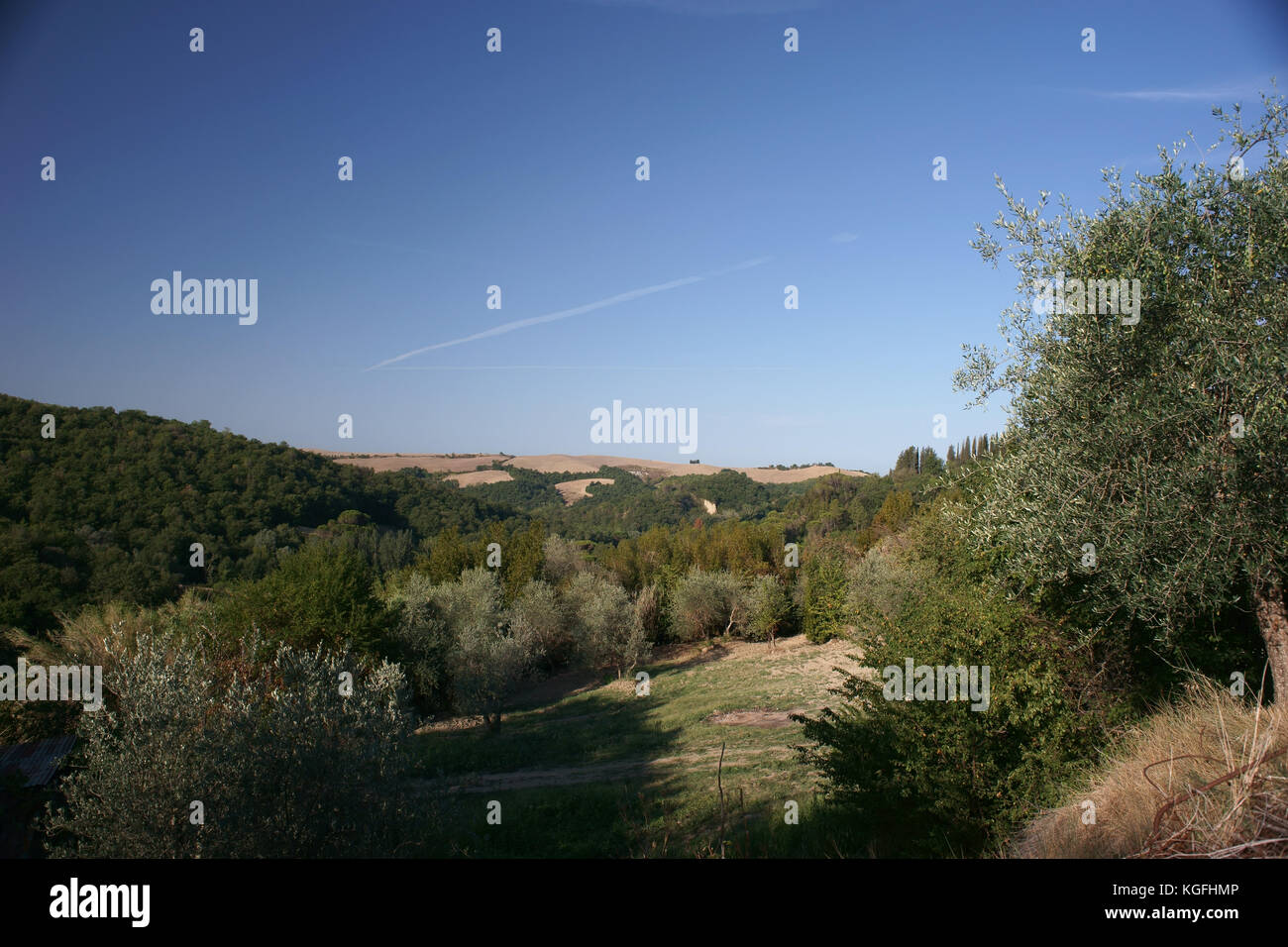Wild in Tuscany, Italy near San Giovanni d’asso Stock Photo - Alamy
