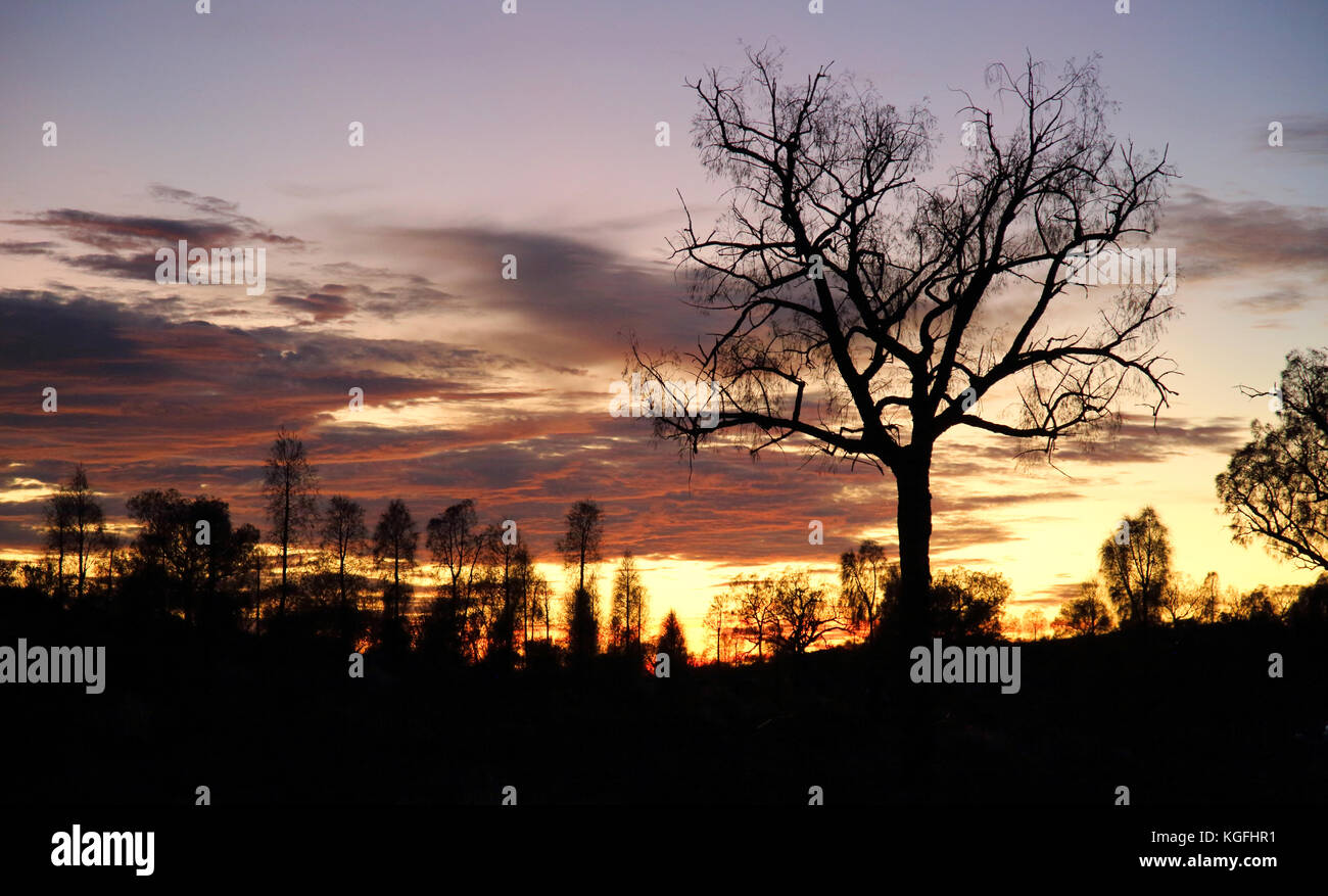Bush Sunrise High Resolution Stock Photography and Images - Alamy