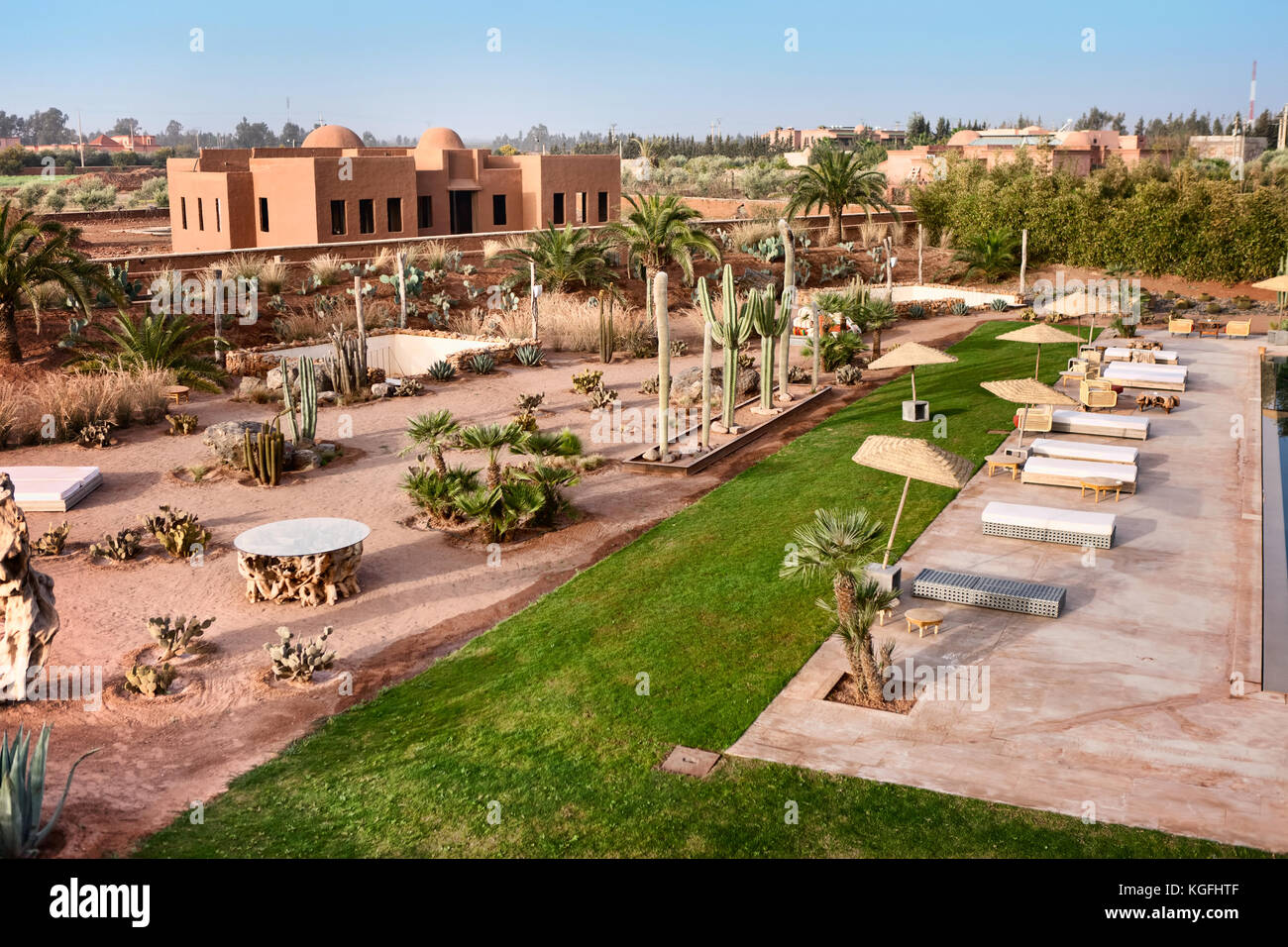 Desert oasis with palm tree in Morocco Stock Photo - Alamy