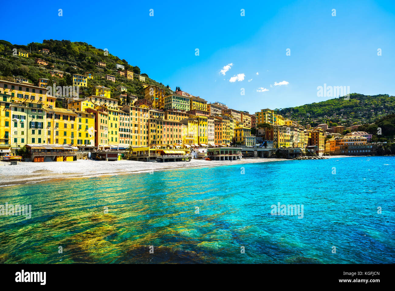 Camogli beach and typical colorful houses. Travel destination Ligury ...