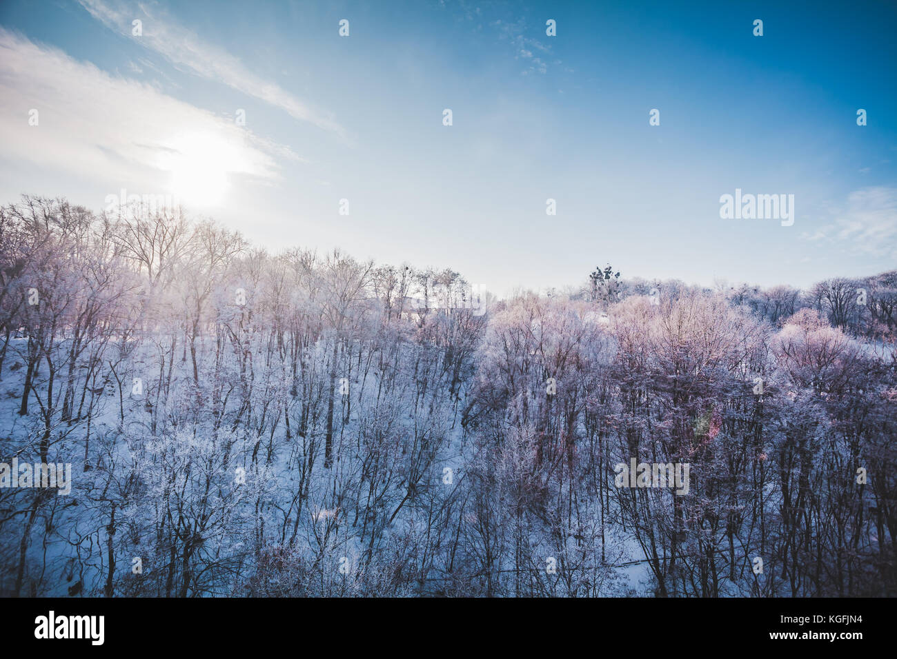 Frosty winter landscape in snowy forest Stock Photo - Alamy