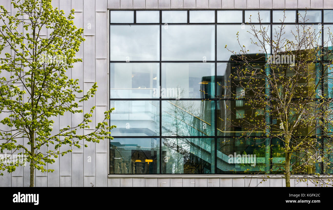 modern office building exterior with many windows, reflexions and trees ...