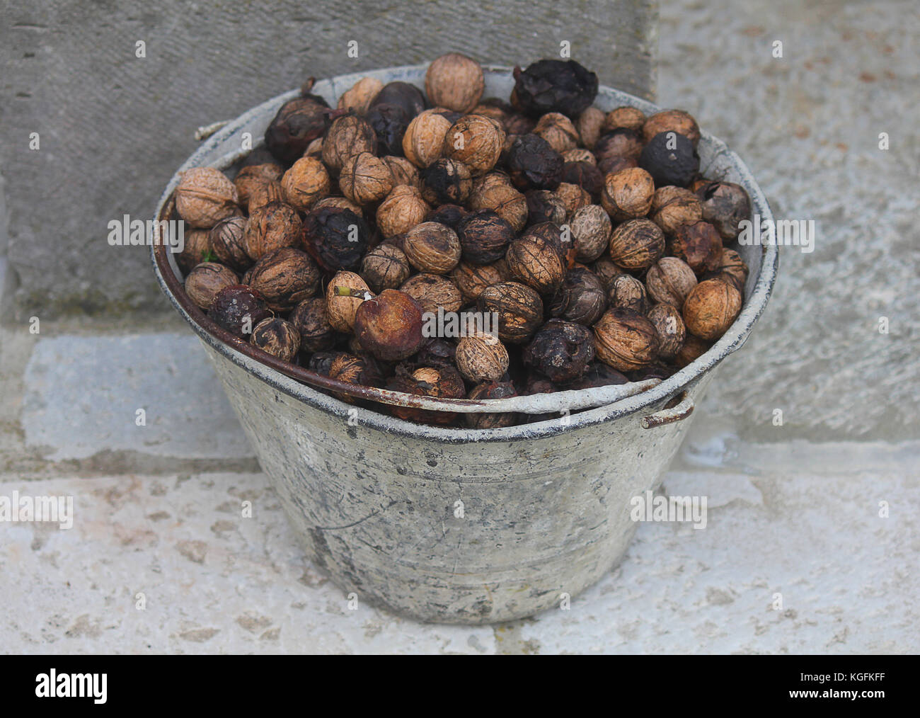 Freshly walnuts hi-res stock photography and images - Alamy