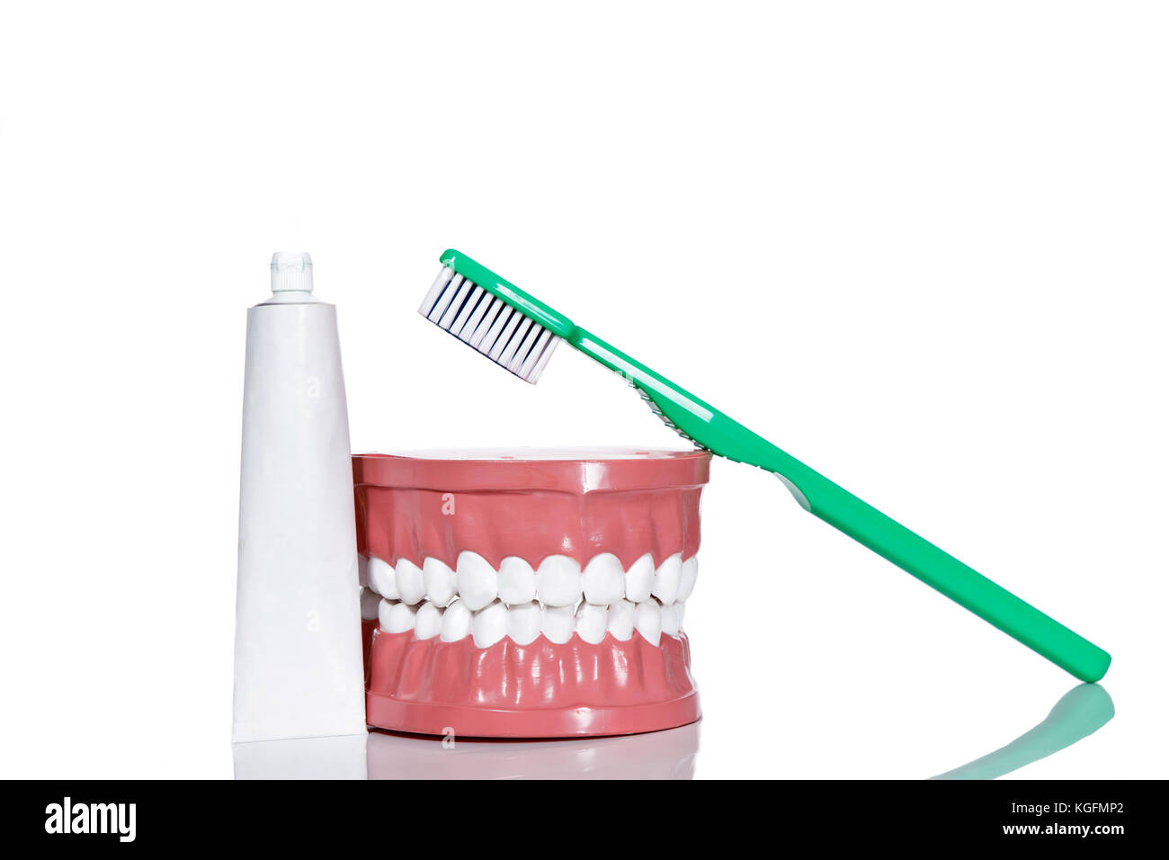 Plastic model of teeth with toothbrush and toothpaste, isolated on ...