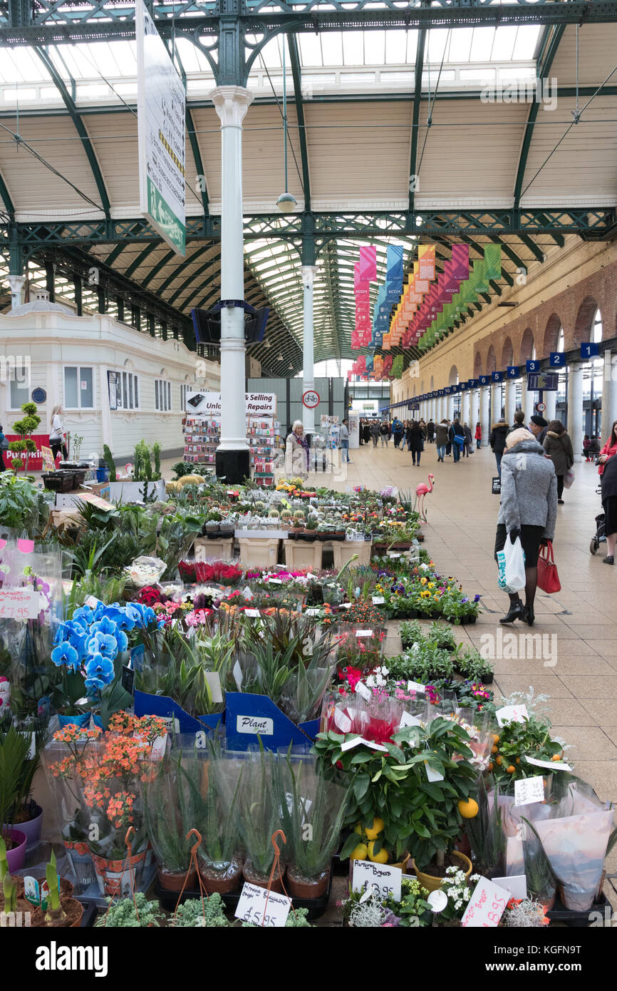 Hull paragon interchange hi-res stock photography and images - Alamy