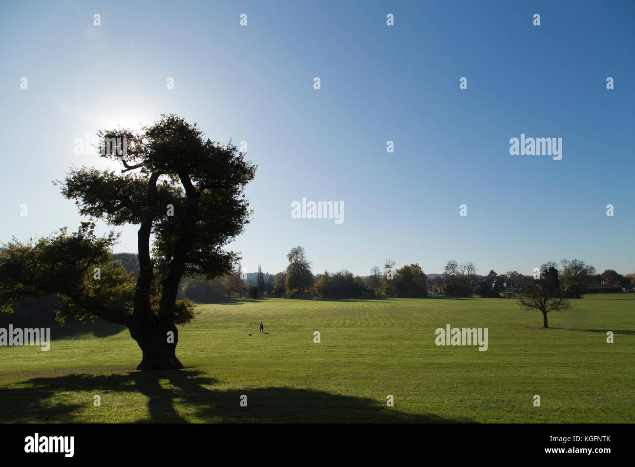 Lloyd Park London Stock Photos & Lloyd Park London Stock Images - Alamy