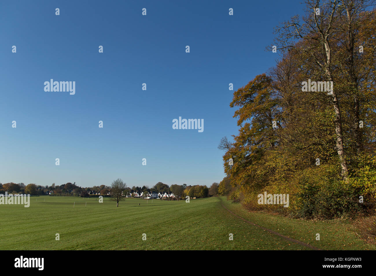 Lloyd Park in Croydon on an autumn morning Stock Photo - Alamy