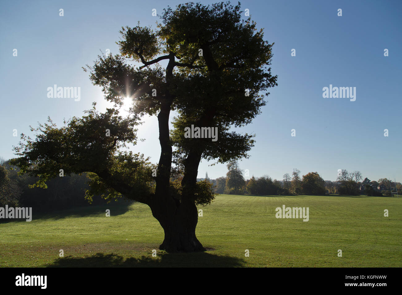 Lloyd Park in Croydon on an autumn morning Stock Photo - Alamy