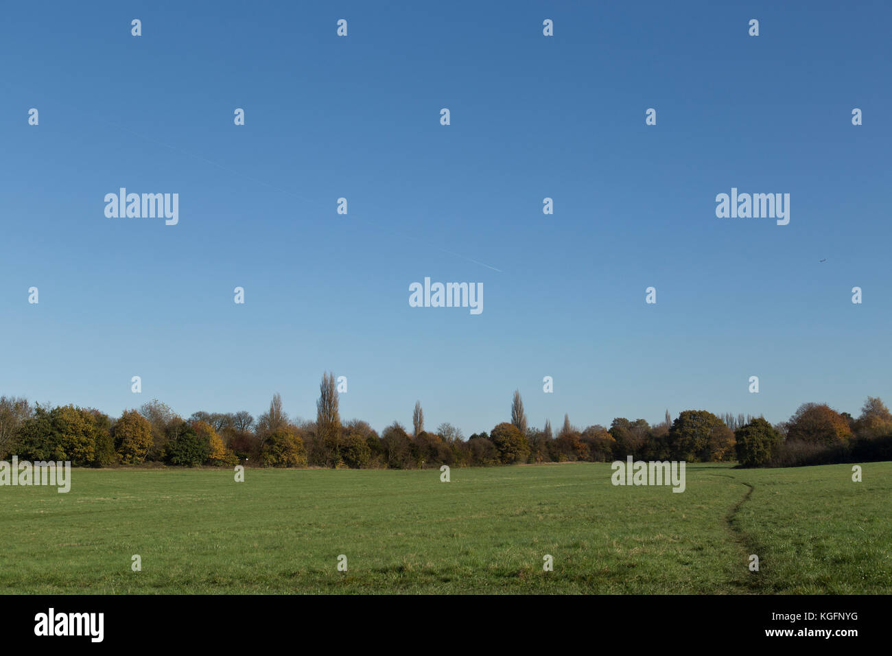 Lloyd Park in Croydon on an autumn morning Stock Photo - Alamy