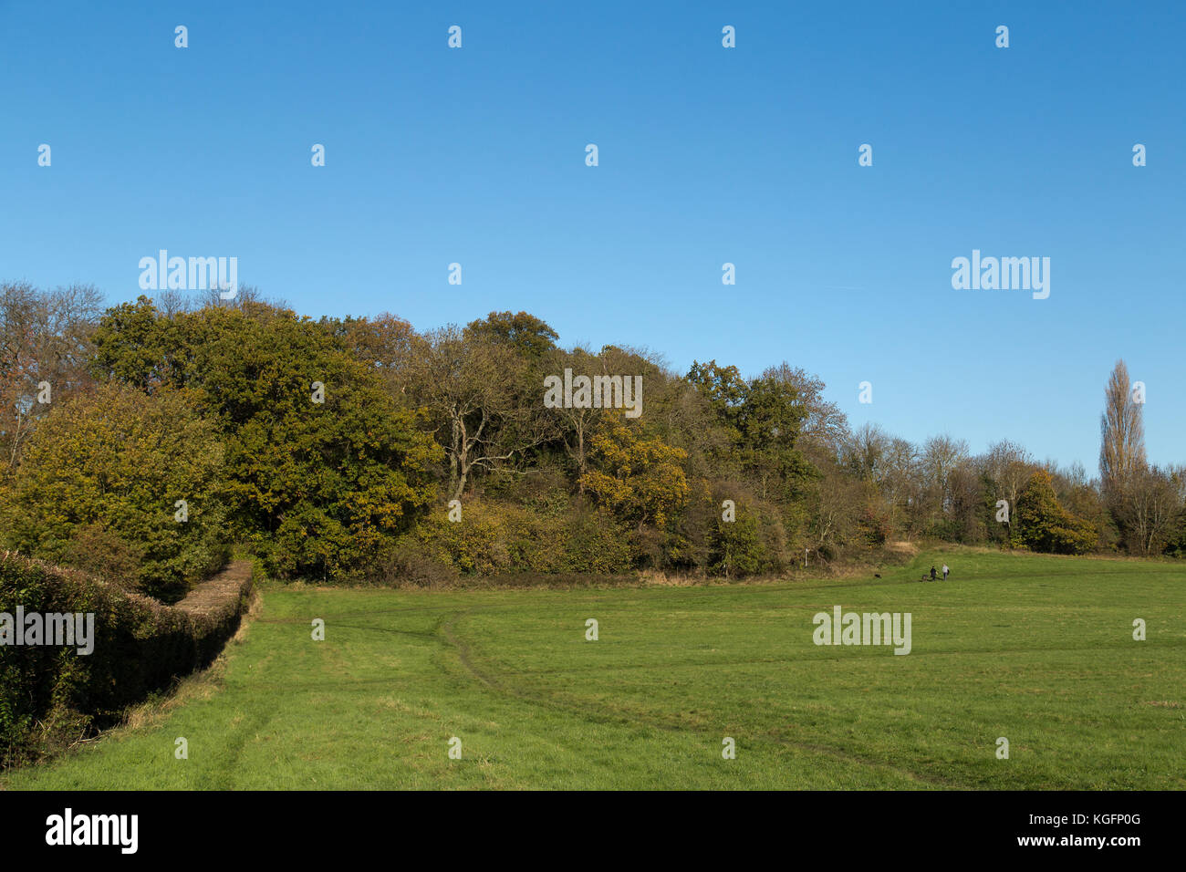 Lloyd Park in Croydon on an autumn morning Stock Photo - Alamy