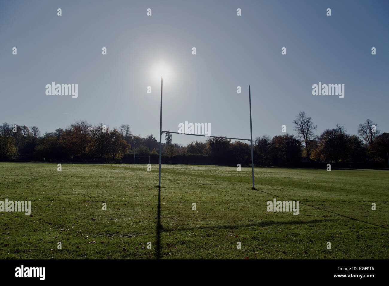 Lloyd Park in Croydon on an autumn morning Stock Photo - Alamy