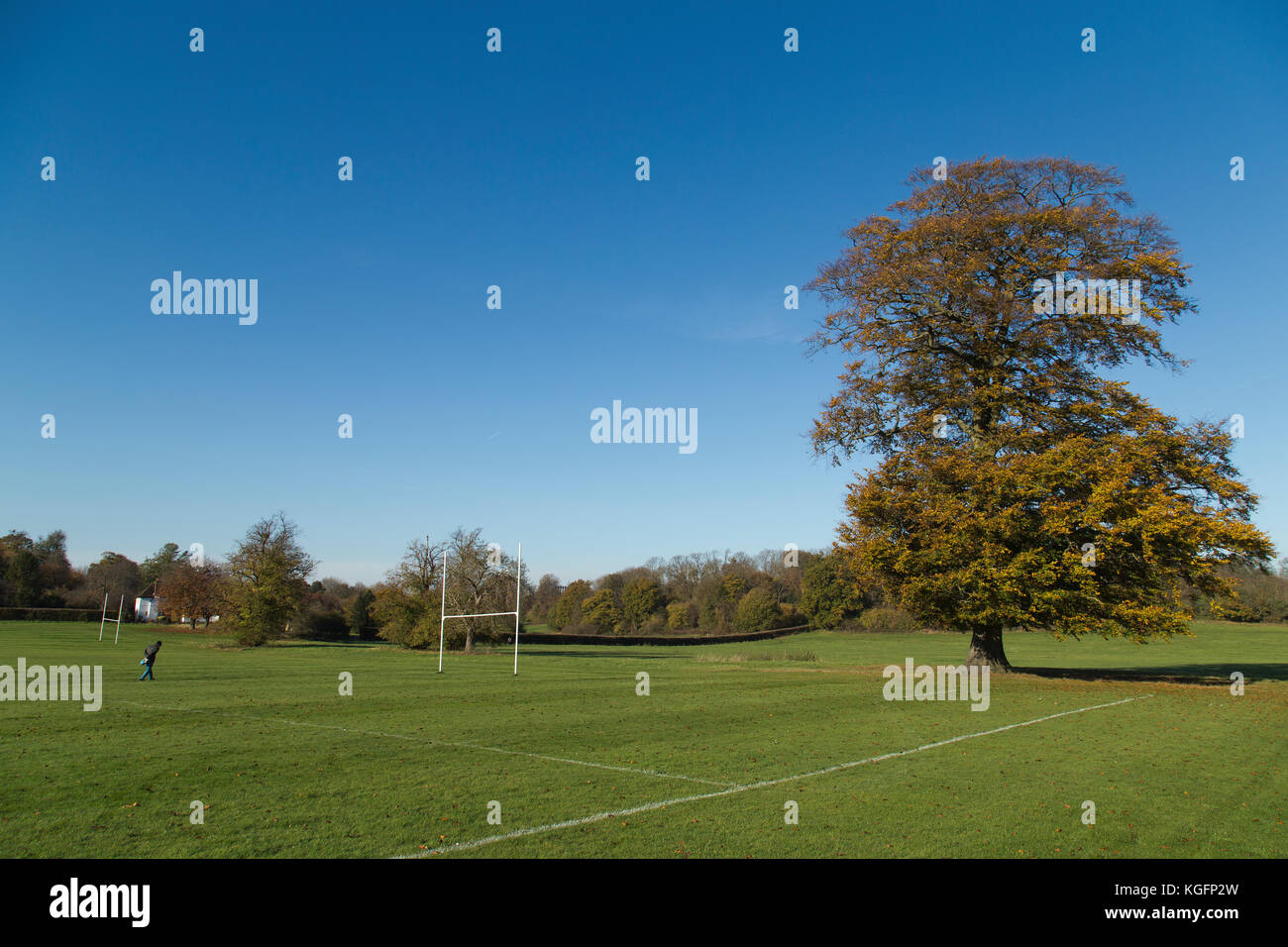 Lloyd Park in Croydon on an autumn morning Stock Photo - Alamy