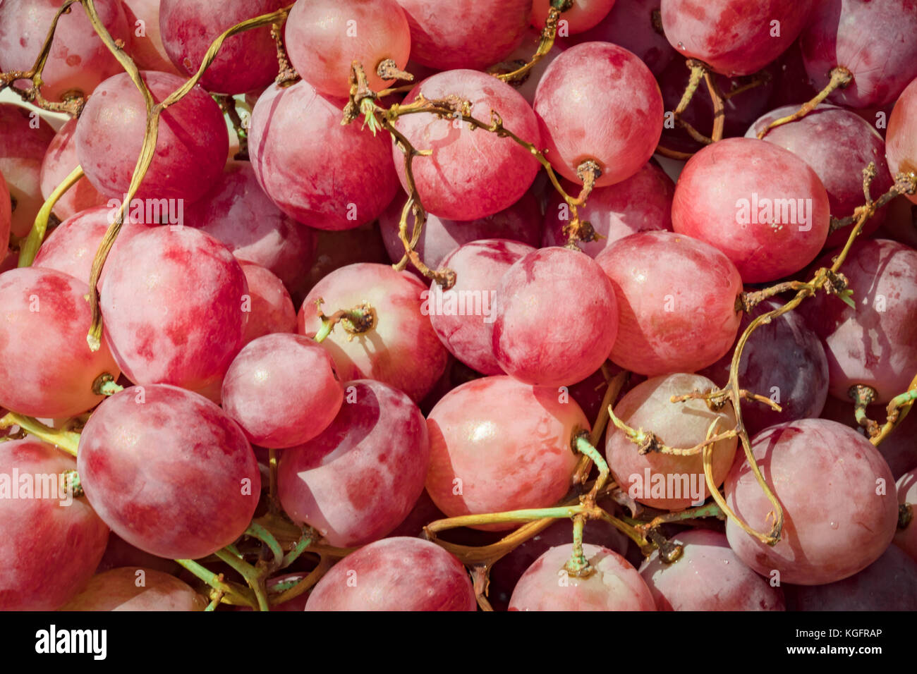 Rose grapes background Stock Photo - Alamy