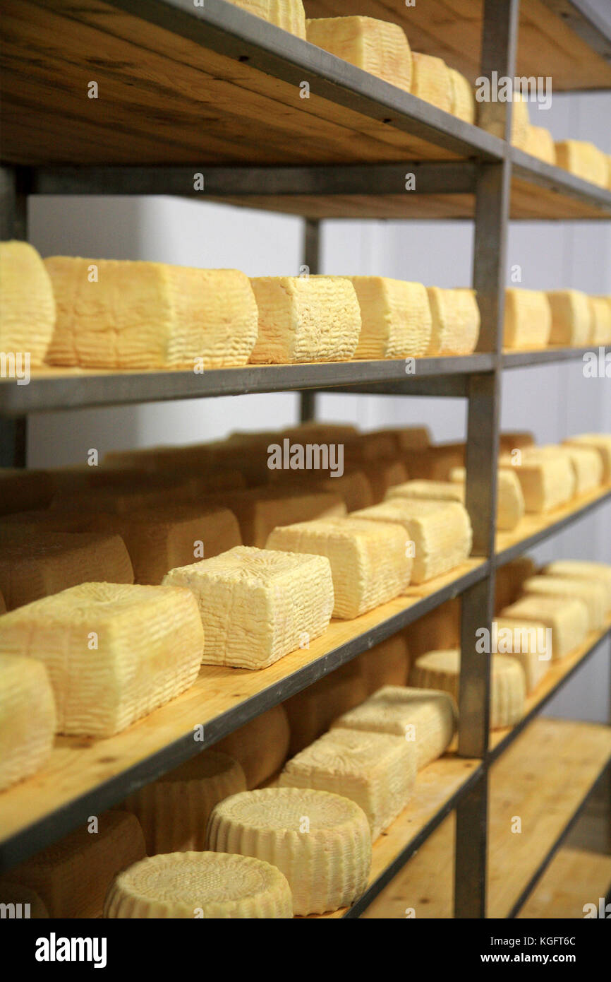 view of a maturing storehouse of cheese Stock Photo - Alamy