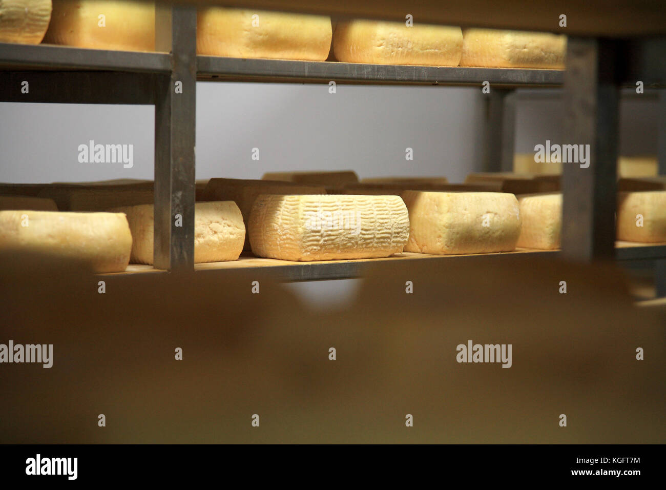 view of a maturing storehouse of cheese Stock Photo - Alamy