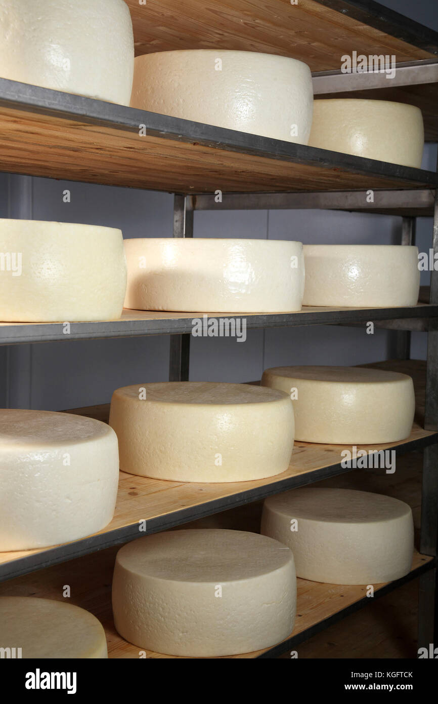 view of a maturing storehouse of cheese Stock Photo - Alamy