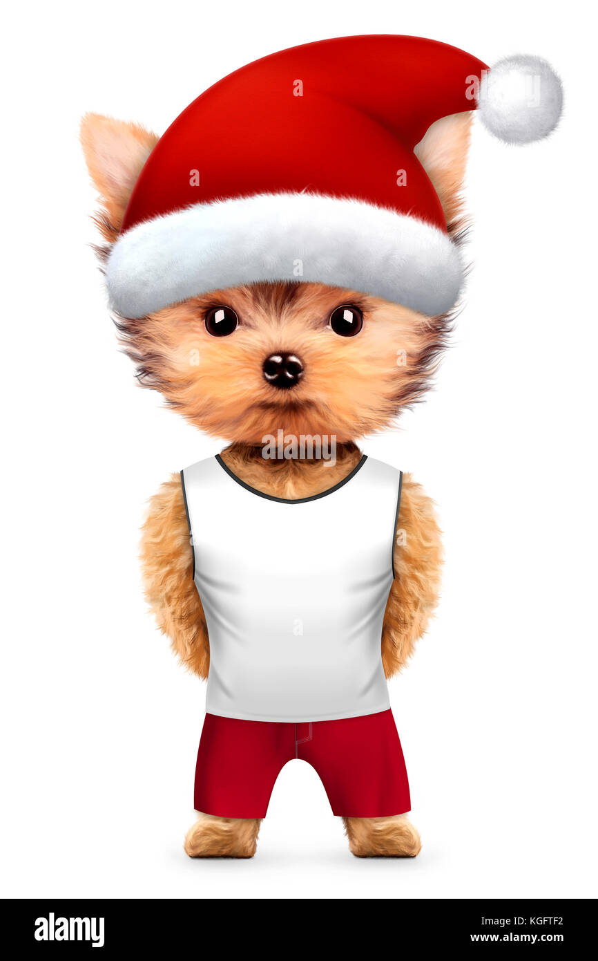 Dog wearing happy new Cut Out Stock Images & Pictures - Alamy