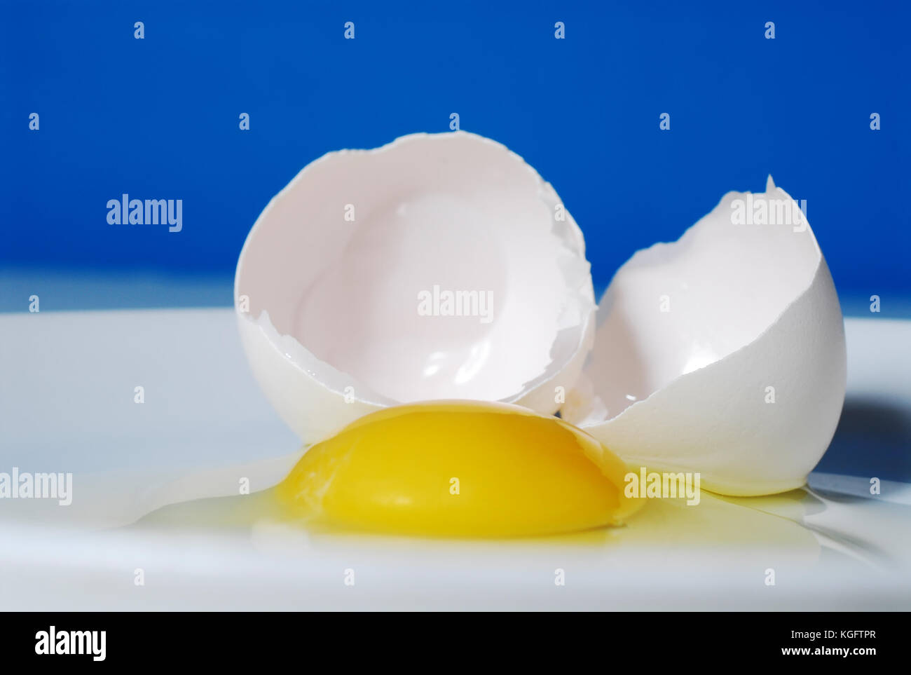 Raw egg on dish isolated on blue background. Egg white, egg yolk and ...